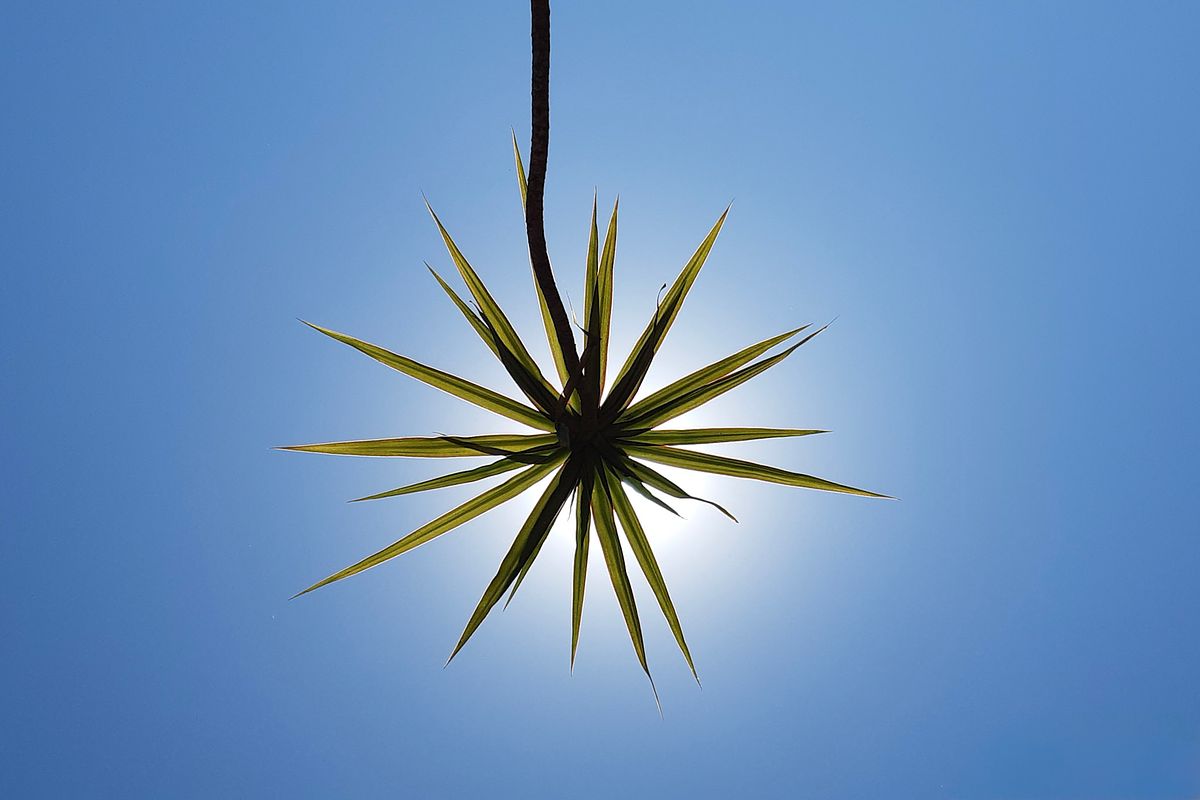 Anderson | Anderson Almeida