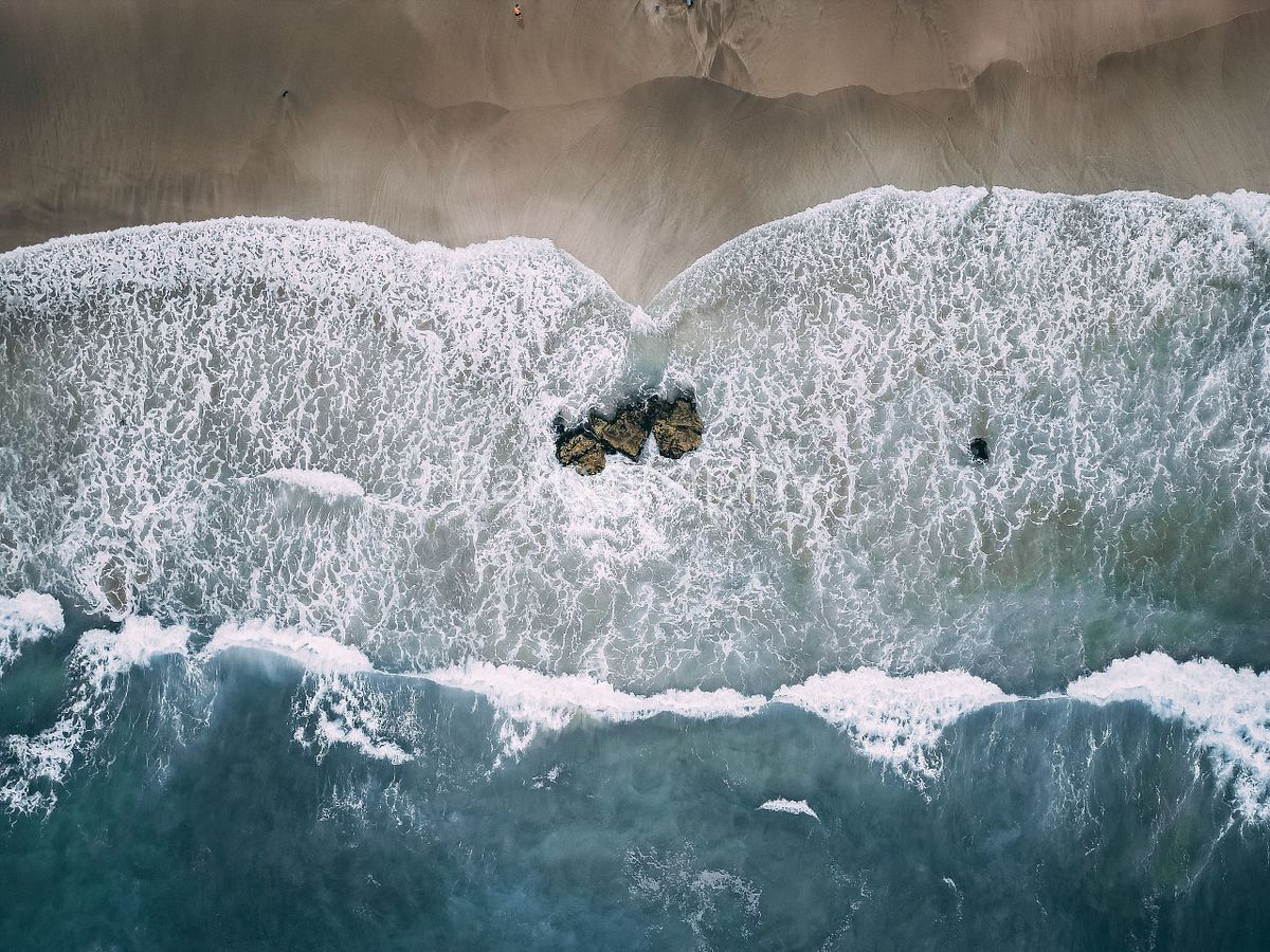 Explore Les Patographs Art Gallery | Patography