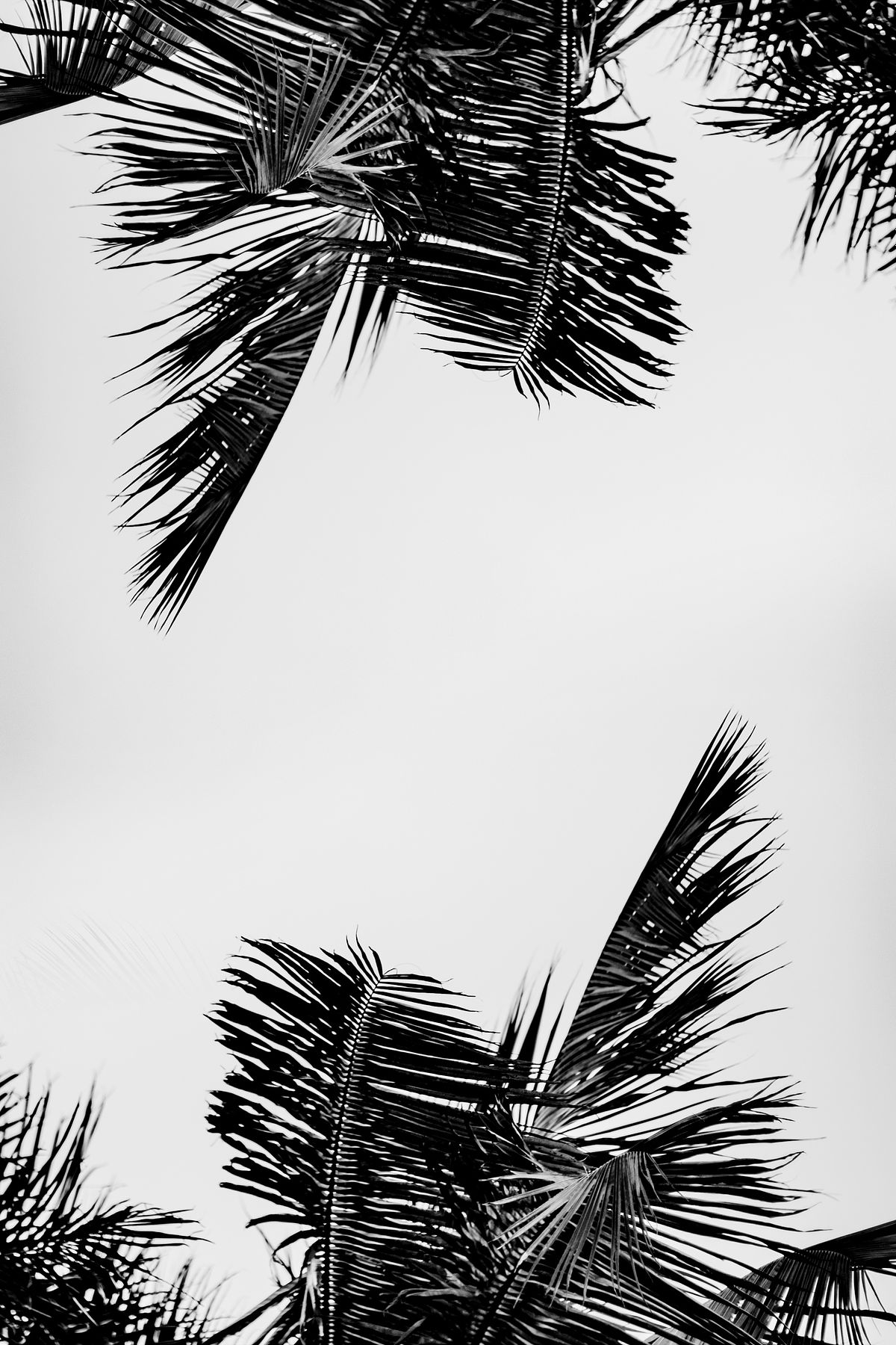 Muni M. Photography || Wallpapers