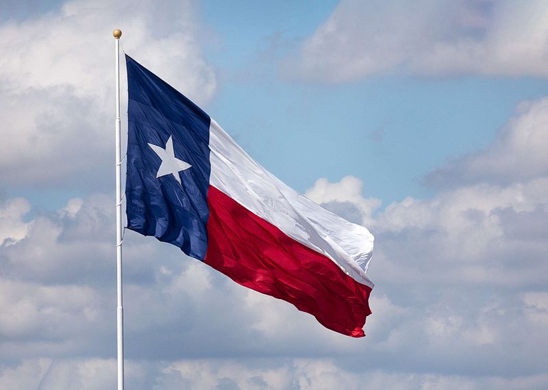 Texas Bluebonnets 2026: Is the Super-Bloom Coming Back