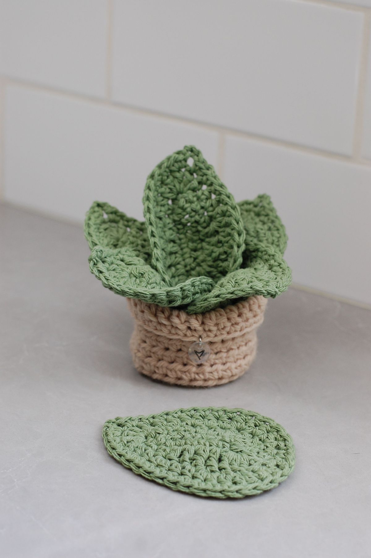 Sierra Plant Coaster Set