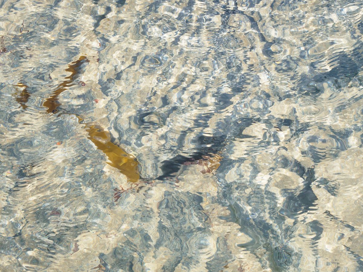 Robin Boothby Photography