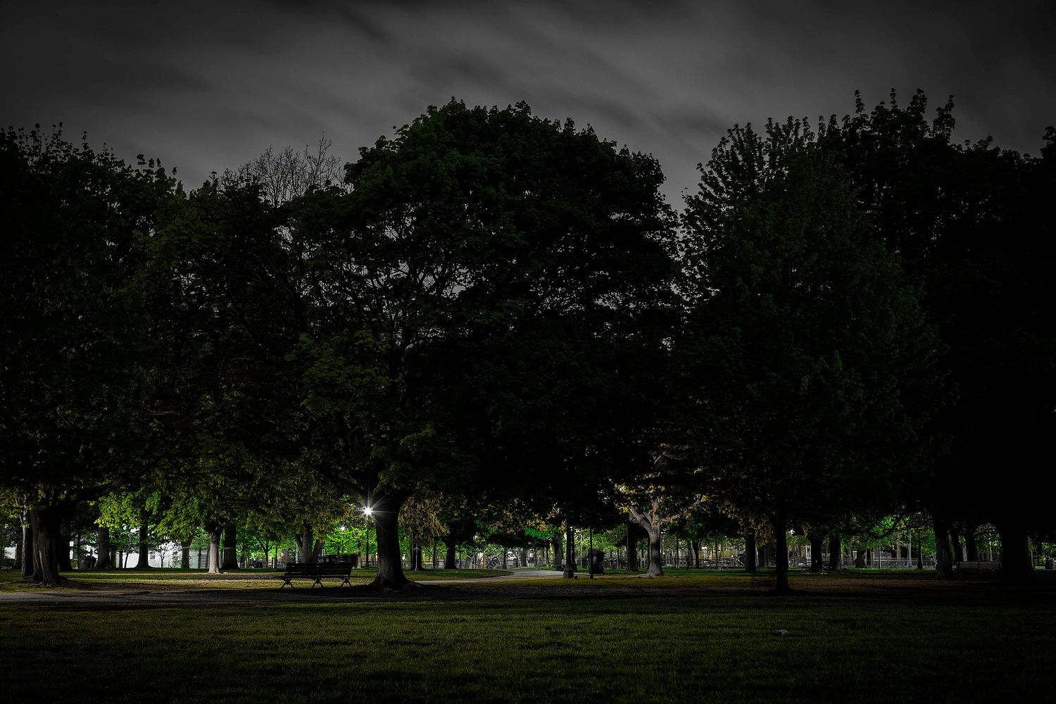 Toronto Photographer Steve Carty | Editorial Portraits | Toronto ...